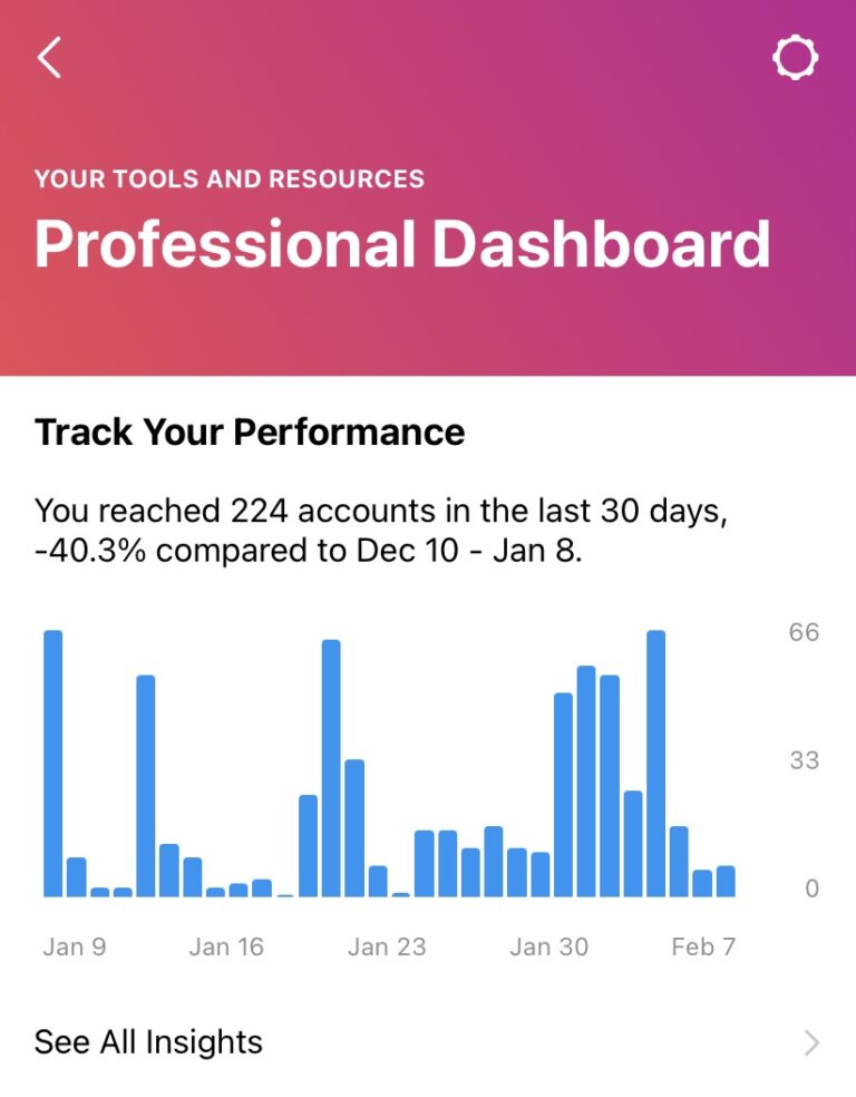 Instagram's NEW 'Professional Dashboard': What You Need to Know